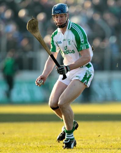 A household divided as the Hogan brothers face off in Kilkenny hurling ...