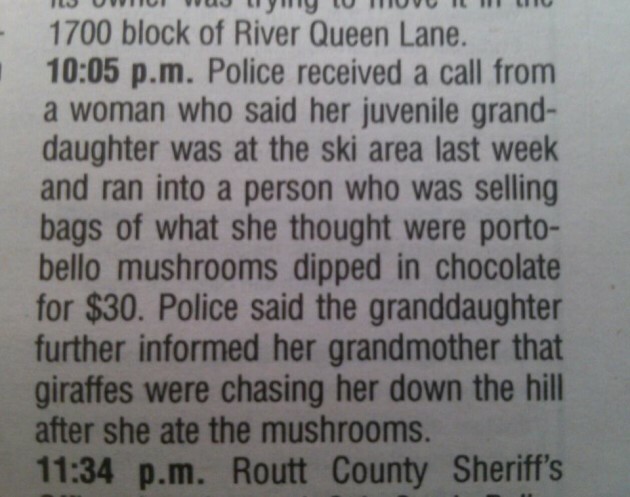 13 of the most hilariously mundane police reports ever · The Daily Edge