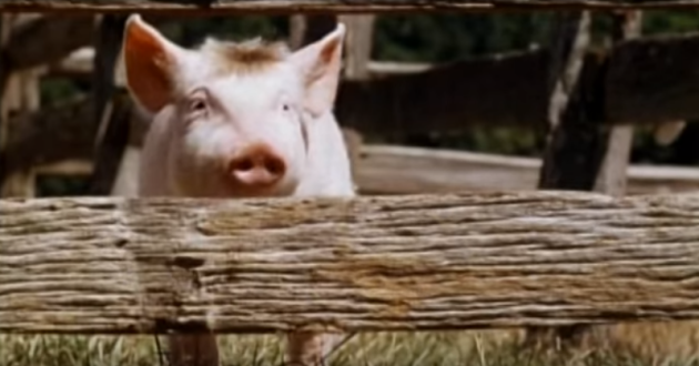 15 movies you love that will suddenly make you feel old — because they ...