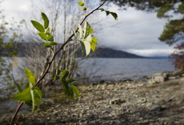 In pictures: media allowed on Norway's Utoya island for first time ...