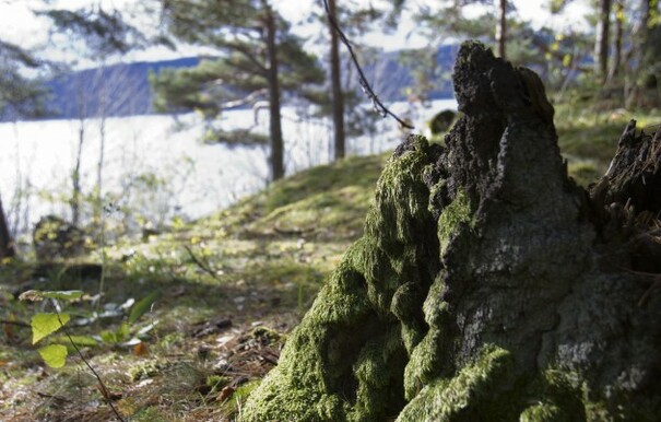 In pictures: media allowed on Norway's Utoya island for first time ...