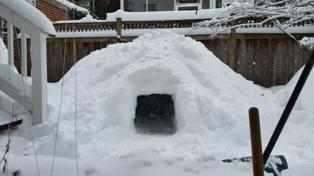 This couple built their very own snow house in their garden, and it's ...