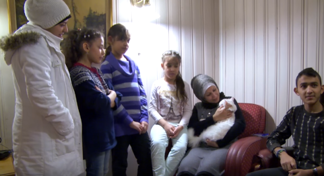 This refugee cat who got lost while fleeing Iraq has been reunited with ...