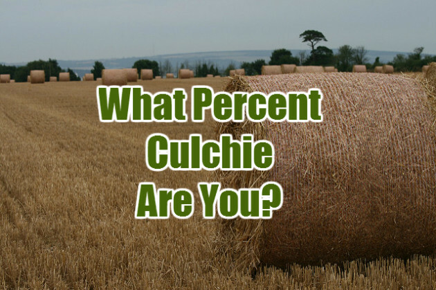 What Percent Culchie Are You? · The Daily Edge