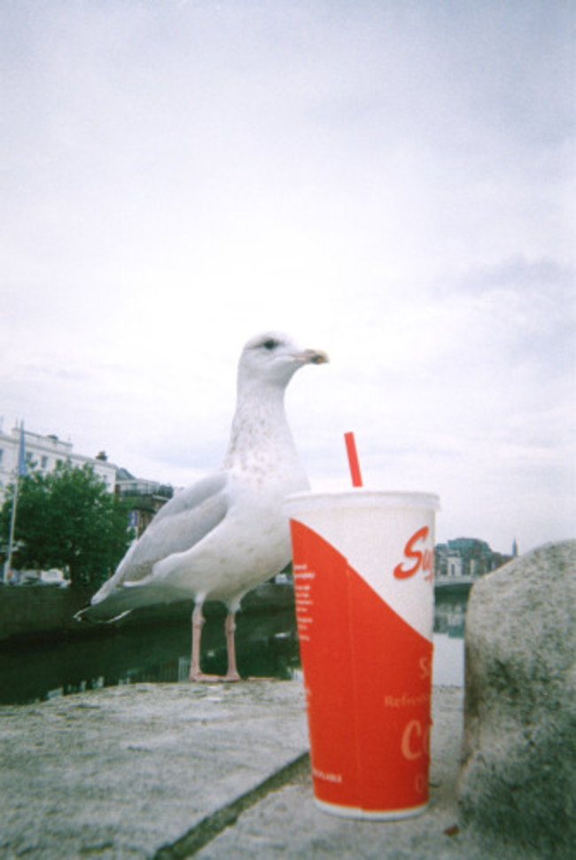 Life on the streets - how Dublin looks to a homeless photographer