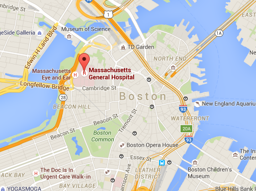 Cancer survivor receives first penis transplant in the US