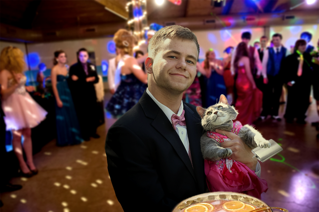 This guy took his cat to prom and became a glorious meme
