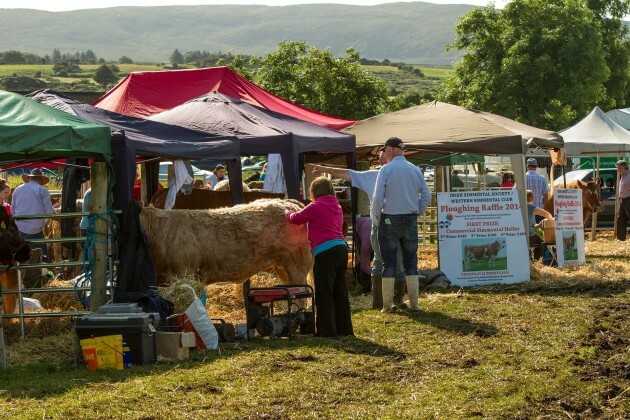14 things you definitely saw at your local agricultural show every summer