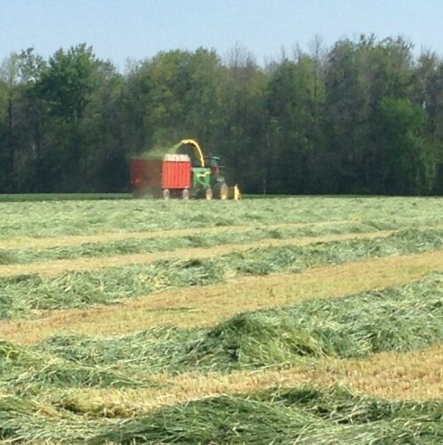 11 things you’ll only understand if you know the importance of silage ...