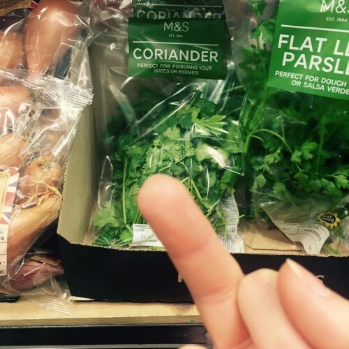 10 facts of life for people who detest coriander · The Daily Edge