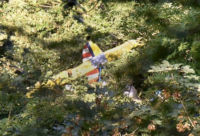 A German pilot was stuck up a tree all night after a crash-landing