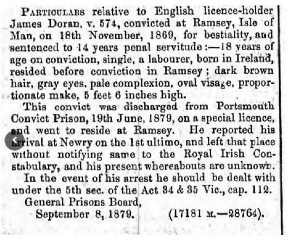 'Garda Pulse system' from the 1800s reveal details of Ireland's most ...