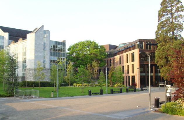 9 reasons why the Old Bar is the heart and soul of UCC · The Daily Edge