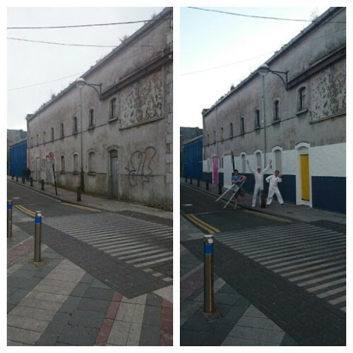 A group of volunteers have helped to transform Cork city's streets