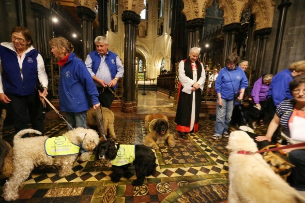 They held a mass in Christ Church for therapy dogs today and the ...