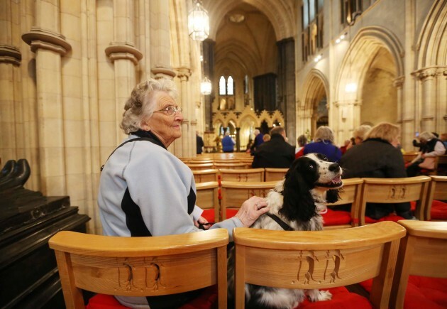 They held a mass in Christ Church for therapy dogs today and the ...