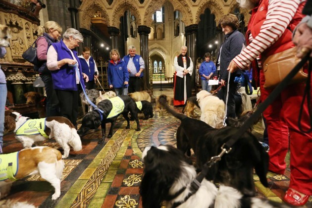 They held a mass in Christ Church for therapy dogs today and the ...