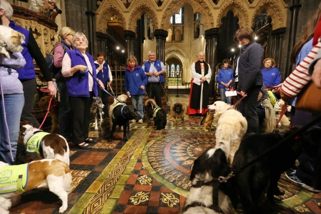 They held a mass in Christ Church for therapy dogs today and the ...