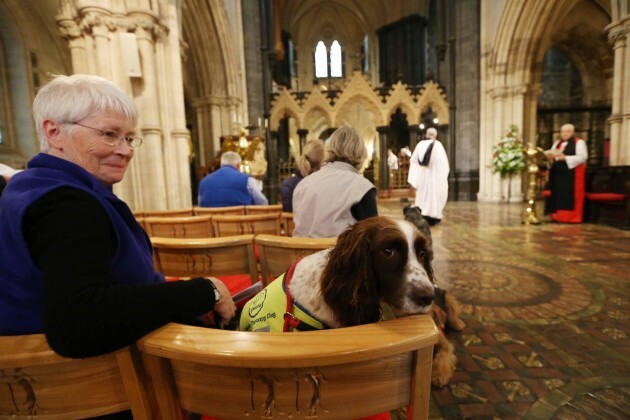 They held a mass in Christ Church for therapy dogs today and the ...