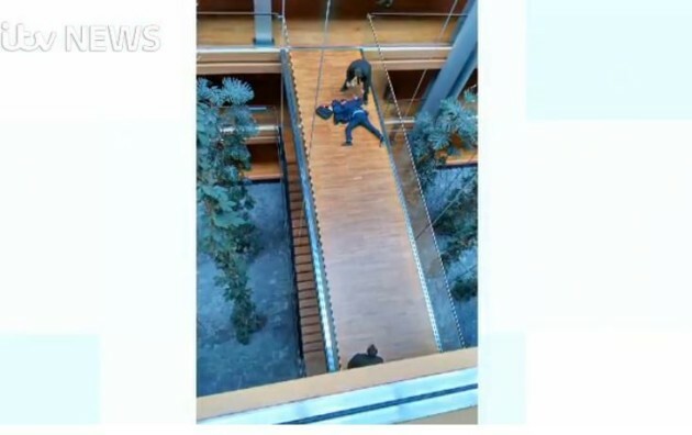 Ukip MEP Mike Hookem insists altercation with Steven Woolfe was 'verbal ...