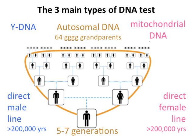 DNA is helping Irish people find their ancestors from centuries ago