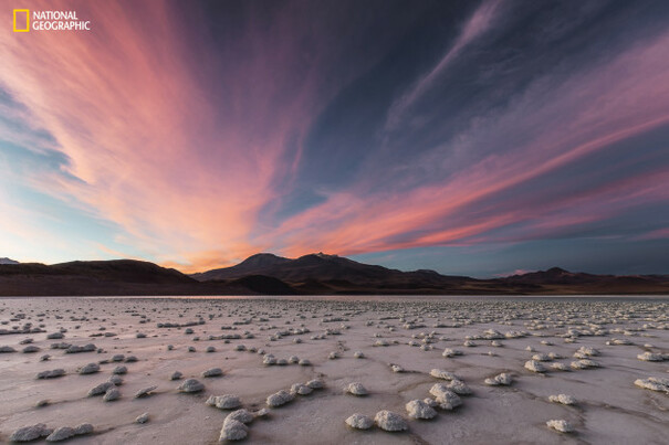 Nat Geo photo competition gives us a glimpse of a strange, alluring world