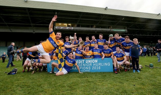Patrickswell end 13-year wait for Limerick hurling title with a 19 ...