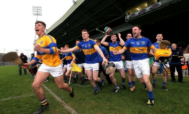 Patrickswell end 13-year wait for Limerick hurling title with a 19 ...
