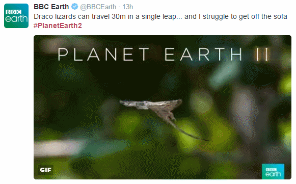 The BBC's tweets are the best part of Planet Earth II · The Daily Edge