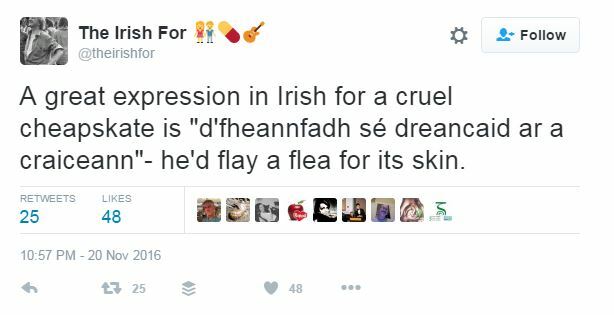 11 reasons why The Irish For is the most delightful Twitter account in ...
