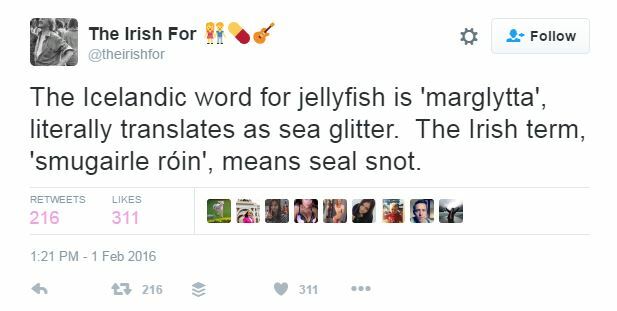 11 reasons why The Irish For is the most delightful Twitter account in ...