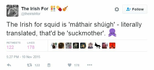 11 reasons why The Irish For is the most delightful Twitter account in ...
