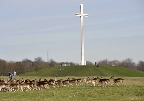 Phoenix Park is 350 years old: Here are 20 things to know about it