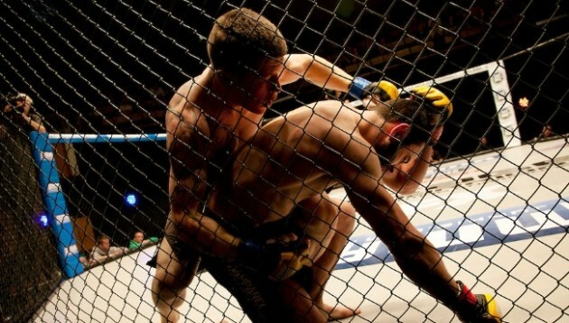 10 Cage Warriors bouts that shaped the future of Irish MMA · The 42