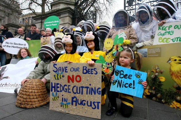 Hive of activity outside Dáil as beekeepers protest against new laws