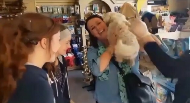 The heartwarming moment a Wexford family was reunited with their stolen ...