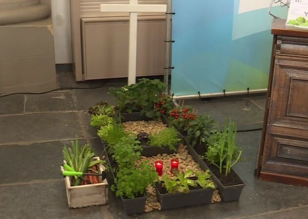 Vegetable garden graves, build-your-own caskets, and coffins to play ...