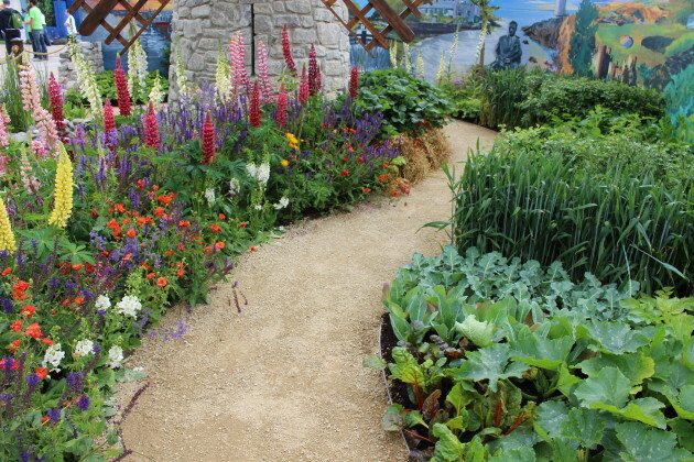 Here are our 6 favourite gardens at Bloom · TheJournal.ie
