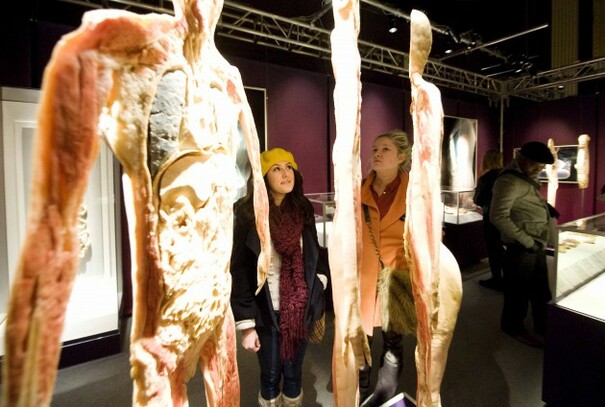 GALLERY: A quick look inside the controversial Human Body exhibition