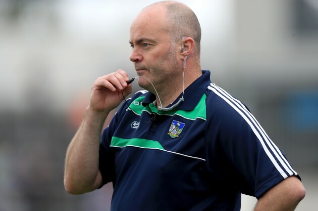 Where next for Anthony Daly after he steps down from Limerick hurling ...