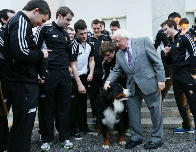 Just 12 photos of Michael D with his dogs Bród and Shadow