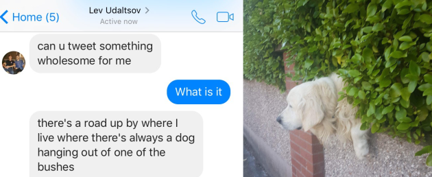 22 hilarious tweets written by Irish people · The Daily Edge