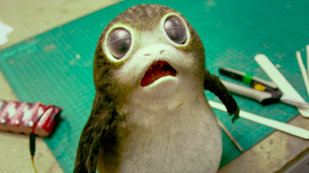 The adorable 'porgs' in the new Star Wars trailer are actually based on ...