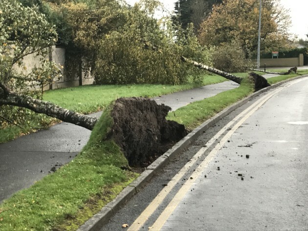 Storm Ophelia ripped the roof off Ireland today · TheJournal.ie