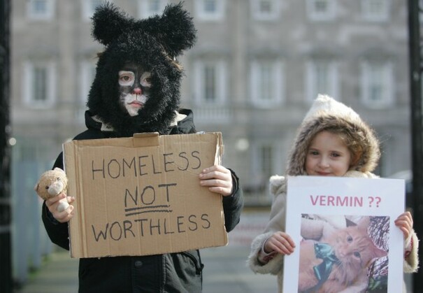 In pictures: cat protest takes place outside the Dáil · TheJournal.ie