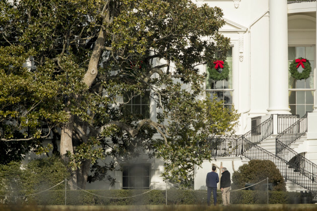 200-year-old White House magnolia tree cut back after Melania Trump ...