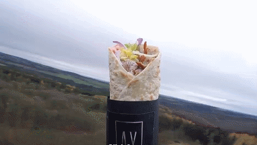 Someone sent a kebab into space, and it's strangely majestic
