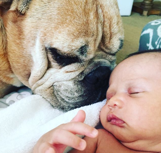 Chrissy Teigen's beloved dog Puddy just passed away and she shared a ...