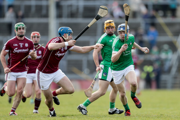Limerick return to top tier for first time since 2010 with defeat of ...