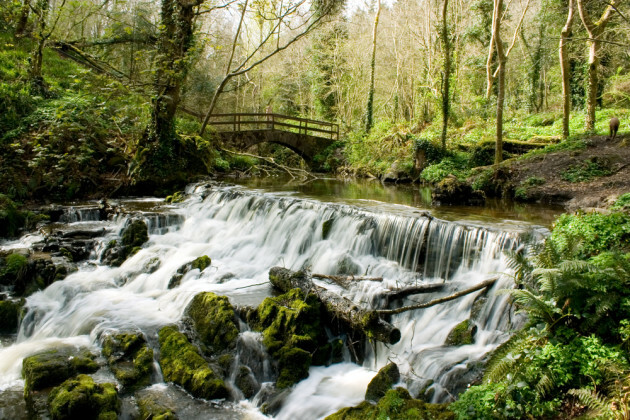 Your summer in Ireland: 5 must-see sites in Cavan · TheJournal.ie